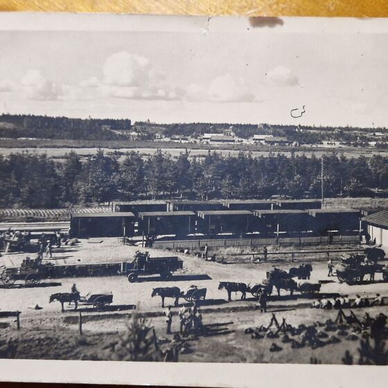 Lõnalaager, Petserimaa. Suur foto (204941633) - Osta.ee