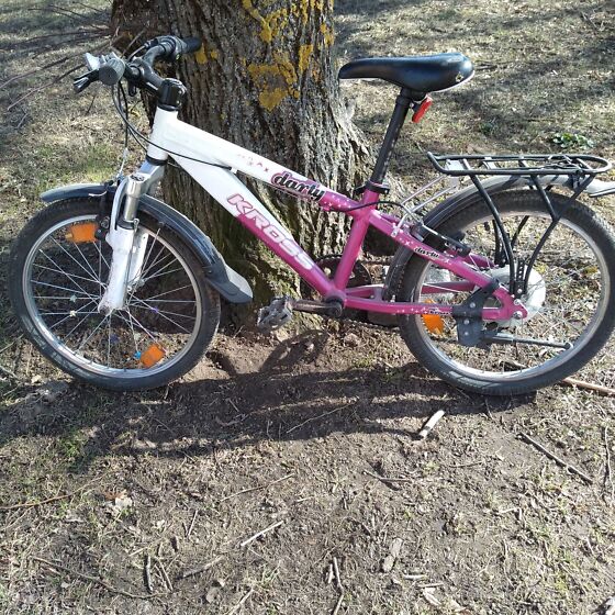 Tüdrukute jalgratas 20 tolli, 6-8 aastasele (193495911) - Osta.ee