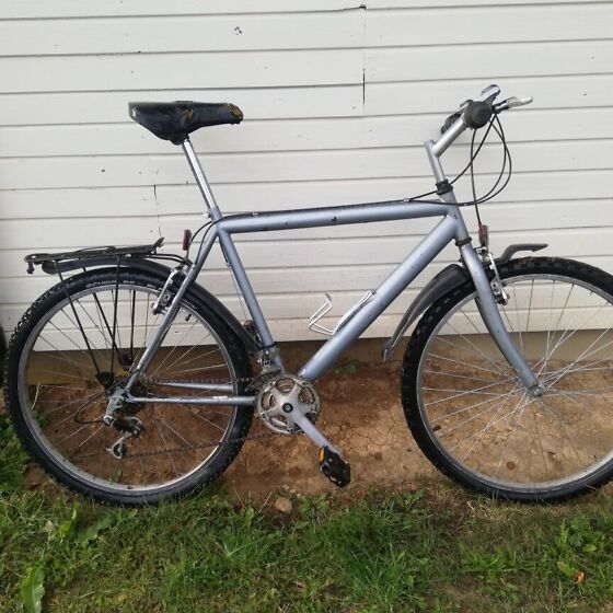 Jalgratas (195343724) - Osta.ee