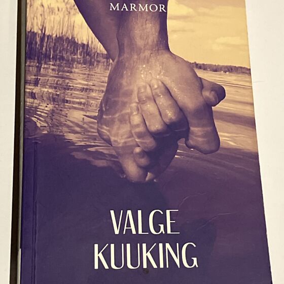 Valge kuuking. Pille Marmor (228169274) - Osta.ee