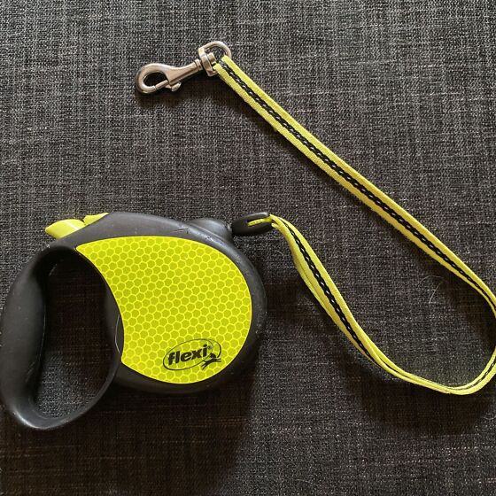 Flexi jalutusrihm helkuriga (194634824) - Osta.ee