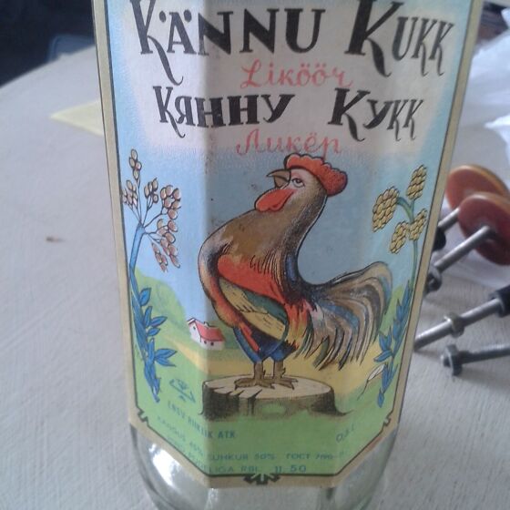 Üpriski Korralik VANA"KÄNNU KUKK"PUDEL(Loe Kirjeldust) (196599002 ...