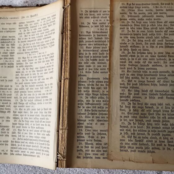 PIIBLI RAAMAT. JUMALA SÕNA (203982057) - Osta.ee