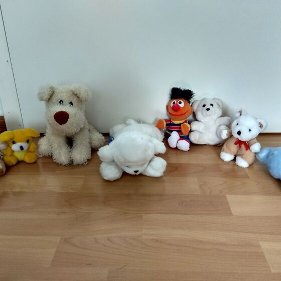 pehme mänguasi: valge karu (196317794) - Osta.ee