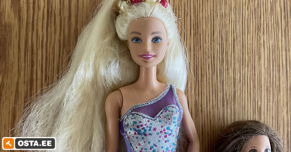 Mattel Barbie ja tema väike õde Chelsea (202750315) - Osta.ee