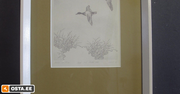 EESTI - Mare Vint (1942-2020) ,,Pardid,, 1979 a.lito (192899041) - Osta.ee