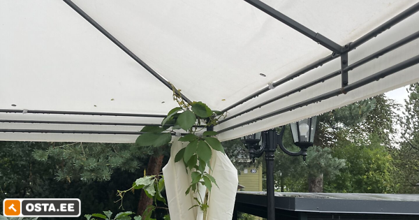 Terrassi/aia paviljon, varikatus (199525985) - Osta.ee