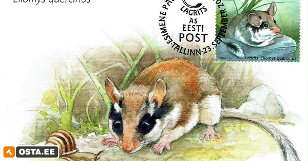 EESTI MAKSIKAART 2010 - Eesti fauna - Lagrits (195737426) - Osta.ee