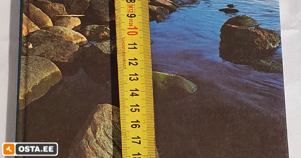 Raamat Pärnu 1990 trükiarv 15000 (193943409) - Osta.ee