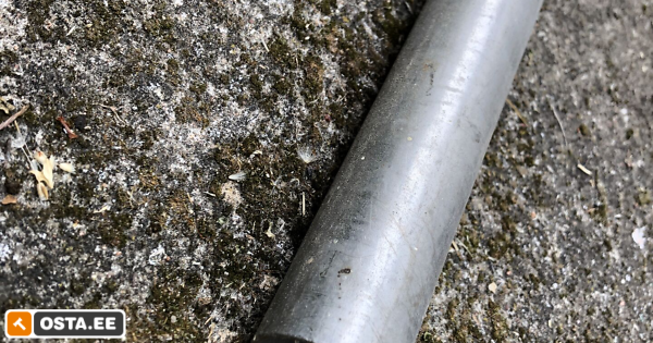 Roostevaba toru. (201919143) - Osta.ee