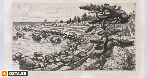 hugo mitt, pehmelakk "pardilaht" 1982 ... (201196204) - Osta.ee