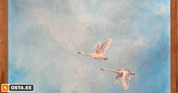 Originaalmaal "Lendavad luiged" (213351854) - Osta.ee