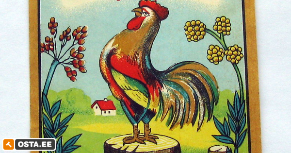 kännu kukk (119583118) - Osta.ee