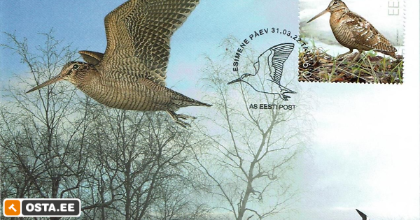 EESTI FDC 2022 - Aasta lind - Metskurvits (219752790) - Osta.ee