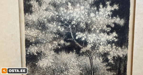 Graafika Maks Roosma 1959 (218165506) - Osta.ee