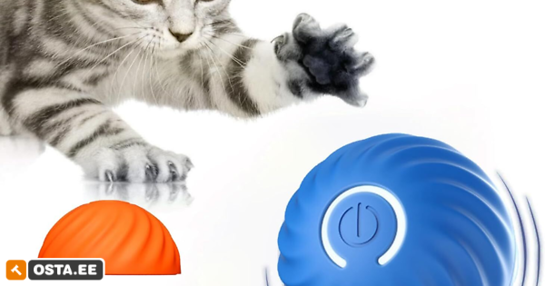 Good4U! Interaktiivne koera/kassi mängupall (227687228) - Osta.ee