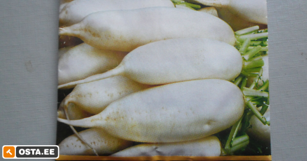 Müüa Valge pikk redis 30 seemet (208748088) - Osta.ee