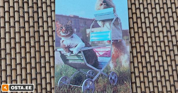 1982 taskukalender TSIRKUS; koer ja kass (213135188) - Osta.ee