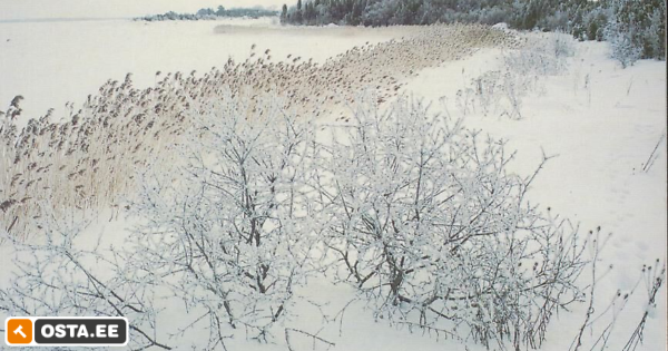 Jõulukaart talvine rand Eesti Loodusfoto AS Tiit Leito (210642291 ...