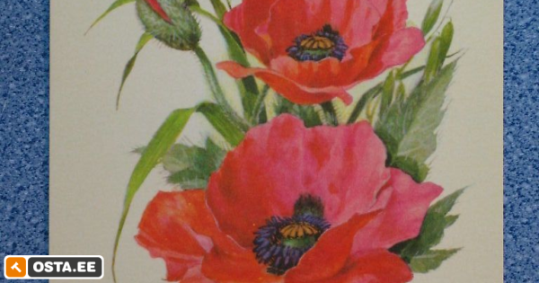 postkaart aastast 1975, lilled, moon, puhas (167263581) - Osta.ee