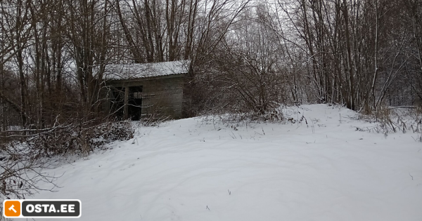 Raudtee 14 Vana-Vigala kinnistu (204708971) - Osta.ee