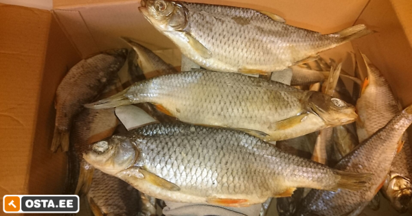 Kuivatatud särg/vobla suured kalad marjaga 1kg (136784420) - Osta.ee