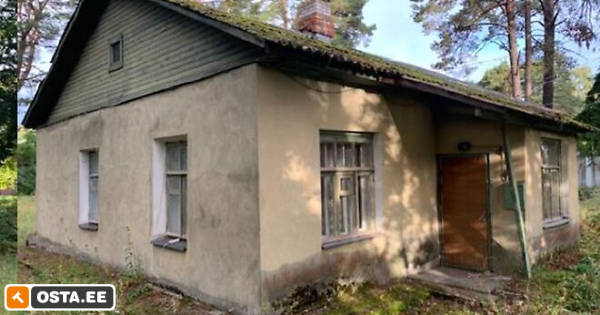 Osta.ee - oksjonid, e-poed ja Eesti Disain - rohkelt eripakkumisi - Osta.ee