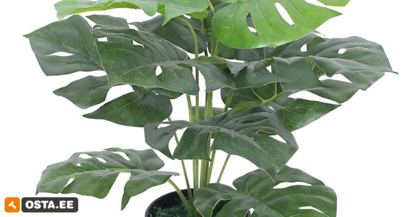 Kunsttaim monstera potiga 45 cm roheline (136230585) - Osta.ee