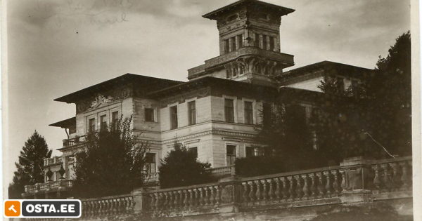 TOILA ,ELISEJEVI loss. O.Haidak Narvas. (208047552) - Osta.ee