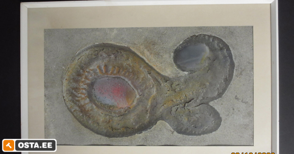 Neeme Lall. (196764985) - Osta.ee