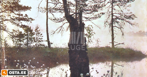 Eesti sood (145205104) - Osta.ee