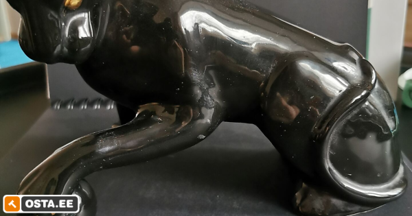 Must panter Gorodnitsa/ черная пантера Городница (192148100) - Osta.ee