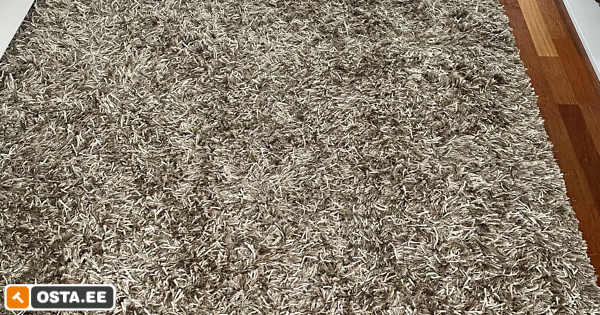 Pikakarvaline vaip 200x300cm (197018712) - Osta.ee