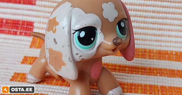 LPS/ Little Pet Shop/Hasbro Taks *2163 Patareiga/liikuv. (197911634 ...