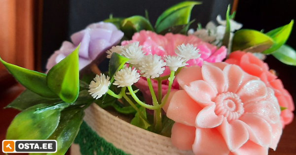 hea tuju SEEP. (196874291) - Osta.ee