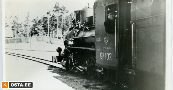 Auruvedur kitsarööpmeline raudtee (203425225) - Osta.ee