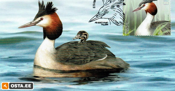 EESTI MAKSIKAART 2020 - Aasta lind - Tuttpütt (195740272) - Osta.ee