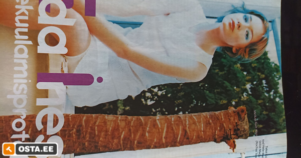 AJAKIRI "STIINA" JUULI 1999. EDA-INES ETTI (216871181) - Osta.ee