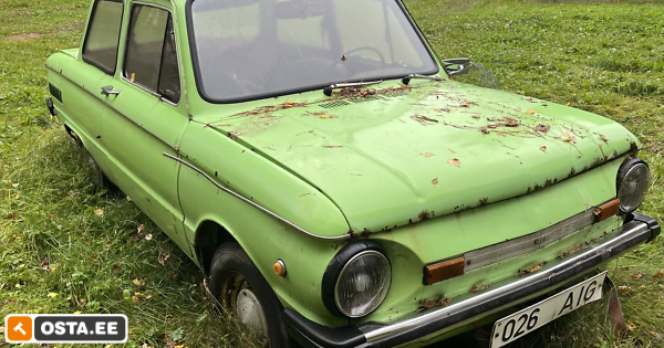 Zaz sapikas (220625161) - Osta.ee