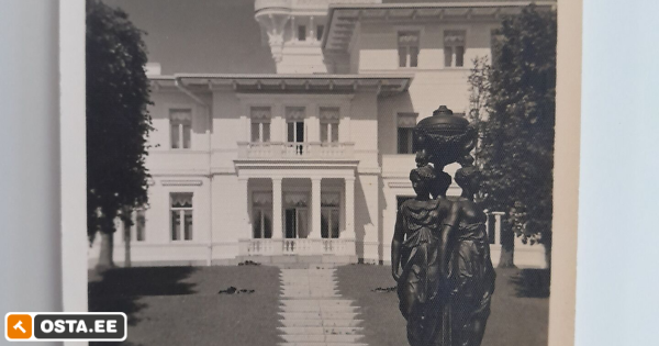 Oru loss (191355571) - Osta.ee