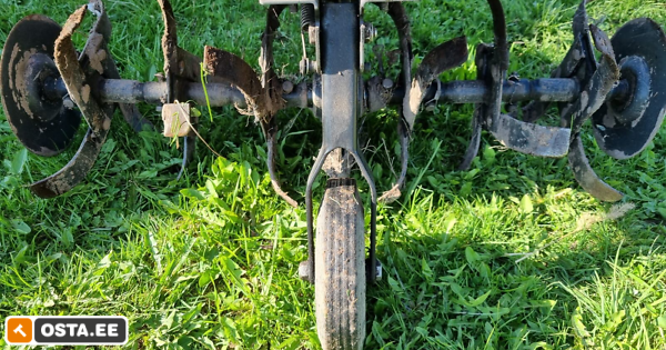 Mullafrees Pubert Primo 55 HC 2 (198727878) - Osta.ee