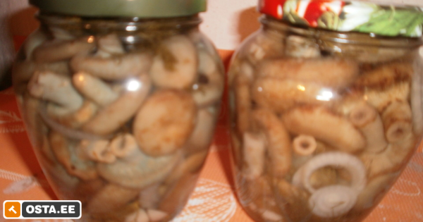 MARiNEERITUD RIISIKAD (213149632) - Osta.ee