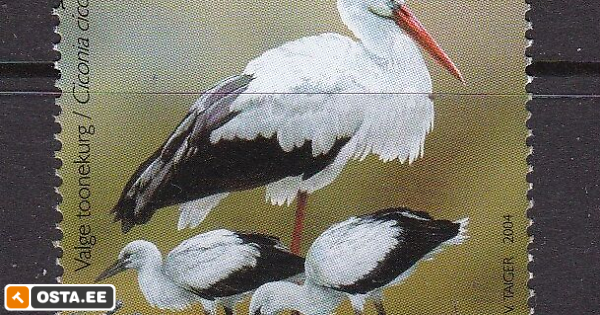 Eesti, 2004, Valge toonekurg, 1 mark ** (207455712) - Osta.ee