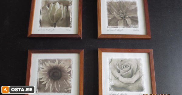 4 lille pilti.Puidust raam. (186571756) - Osta.ee