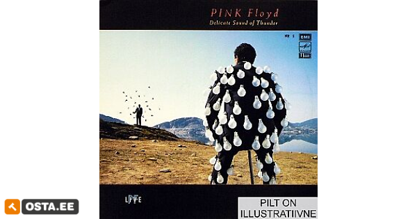 Delicate Sound of Thunder (Live) 1990a Pink Floyd 2xLP (185183850 ...