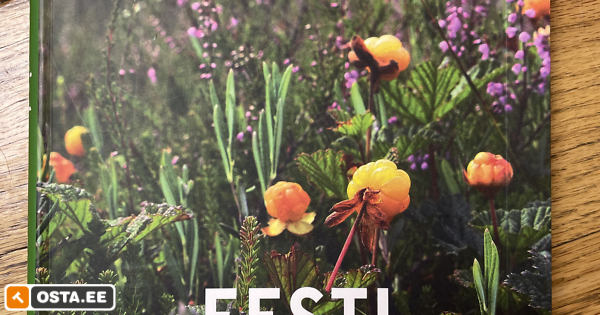 Eesti metsamarjad, Taimi Paal (166280064) - Osta.ee