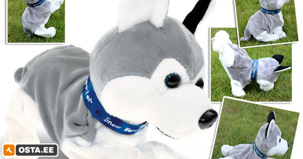 Interaktiivne koer Husky (202282284) - Osta.ee