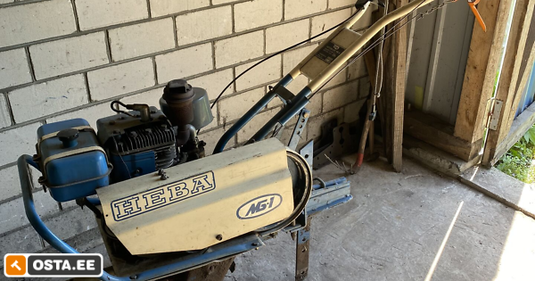 Mullafrees. (214979952) - Osta.ee