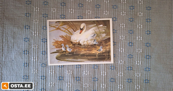 Postkaart Luiged, luik (1980) (221239852) - Osta.ee