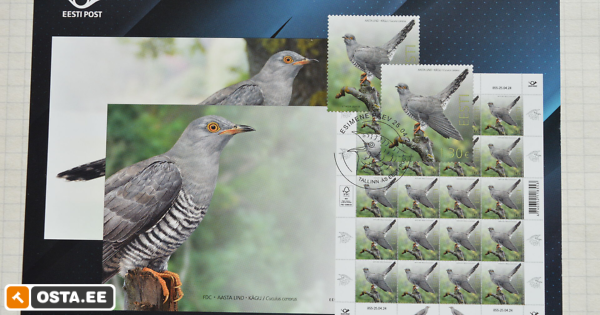 245 Ü3 Aasta lind kägu infokaart 855 eesti 25.04.2024 (213339130) - Osta.ee